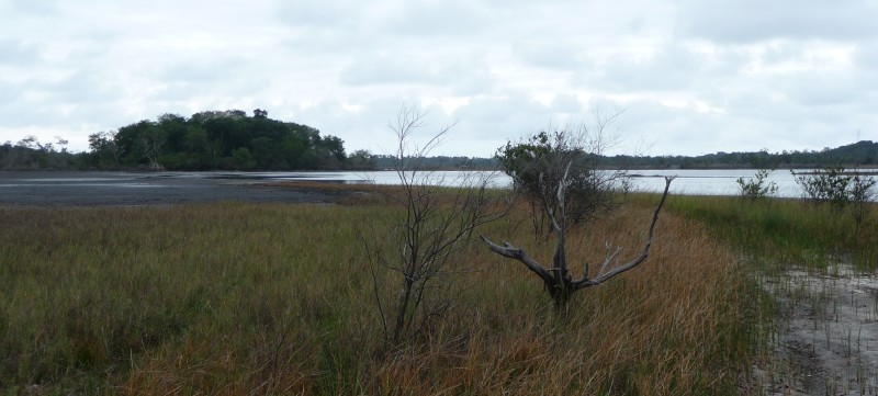 Gabon Gamba birding trip report